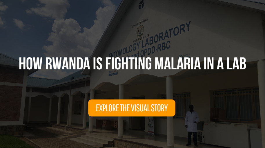 How Rwanda is fighting malaria in a lab