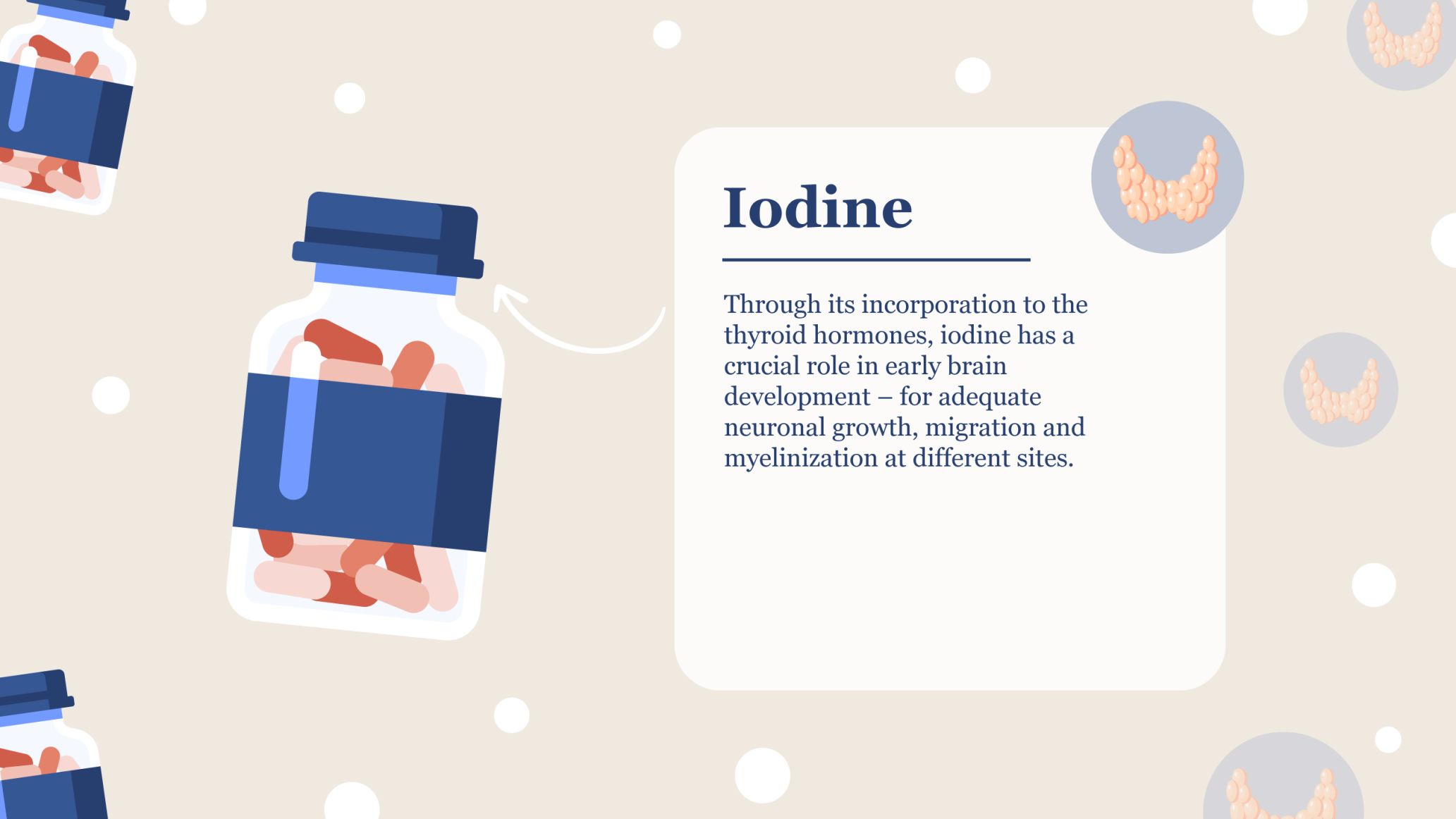 Multiple micronutrient supplements: Breaking the intergenerational ...