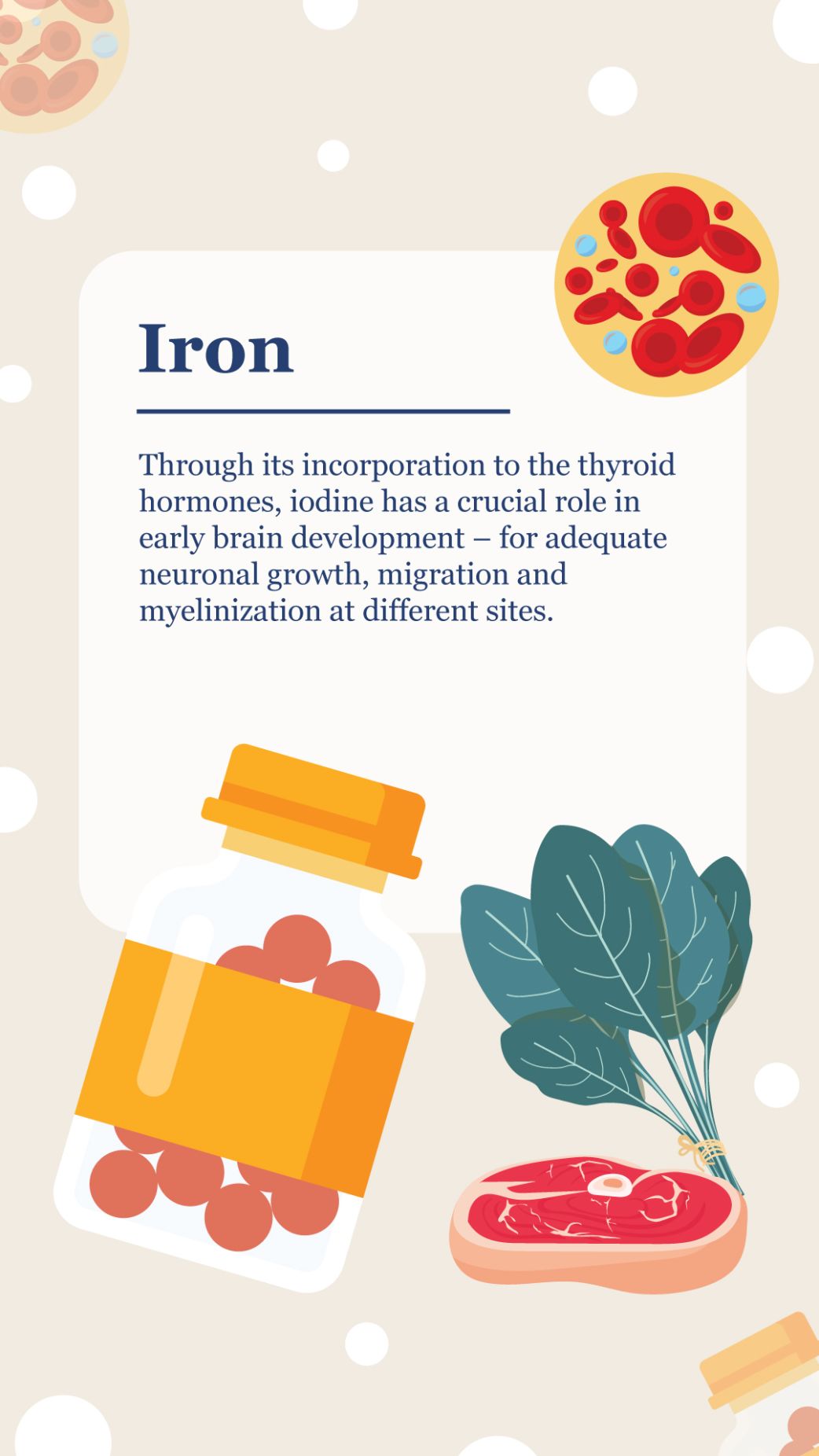 Multiple micronutrient supplements: Breaking the intergenerational ...