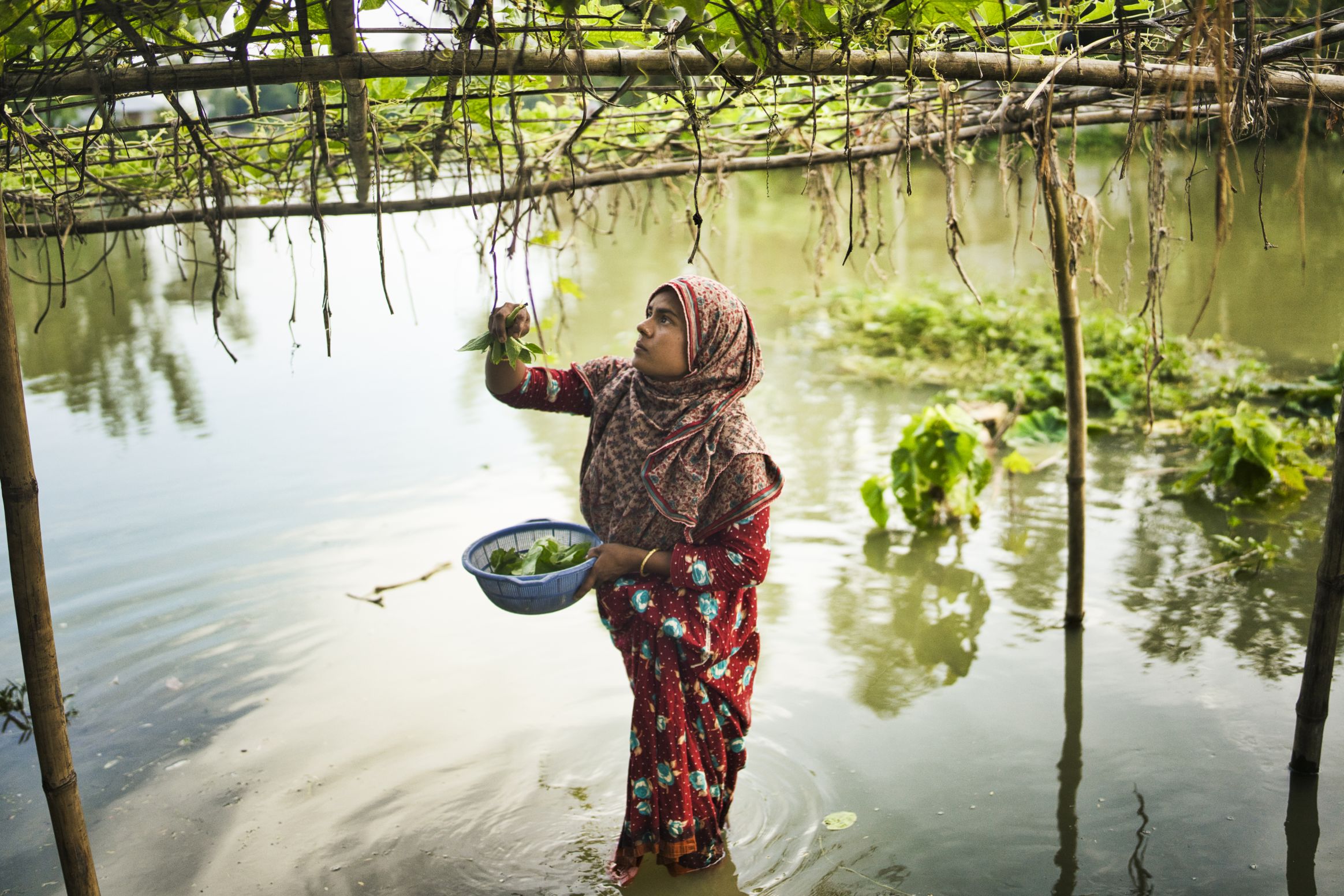 The importance of building resilience in humanitarian emergencies