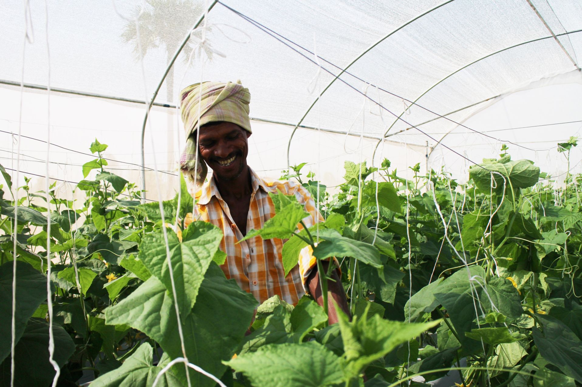 To build sustainable livelihoods, there’s no one-size-fits-all approach